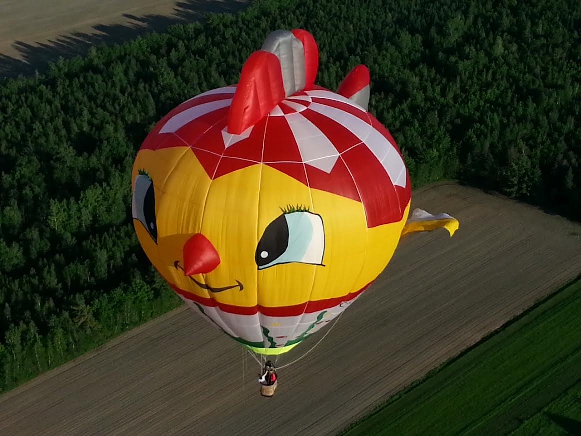 Special Shape Hot Air Balloons – Bard Balloons
